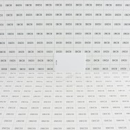 Secura Key Clamshell Proximity Card (26/32-Bit) - RKCMH02 SecuraKey Store